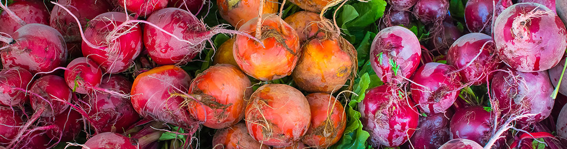 Beetroot & Heirloom Carrot Salad with Persian Fetta - Brisbane Home Show