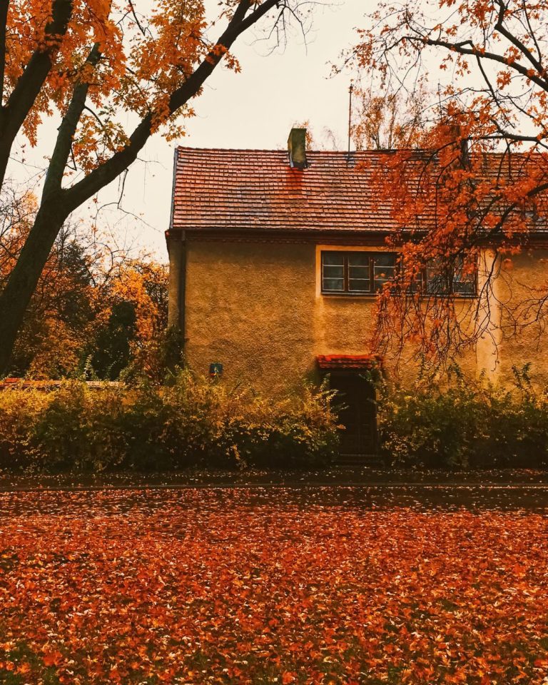 Your Guide to Selling a House in Autumn - Home Shows Australia