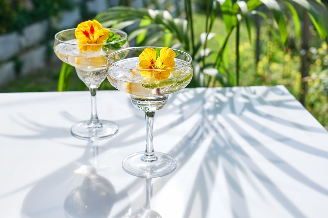 Sizzling Summer Sips: Cocktail Recipes You Must Try - Home Shows Australia